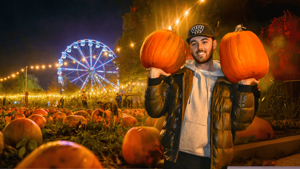 Tulleys Pumpkin Farm - UK's number one pumpkin festival