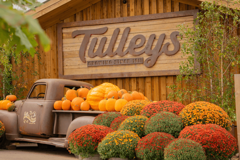 Tulleys Pumpkin Farm - UK's number one pumpkin festival